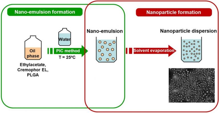 Influence of polymer concentration on the properties of nano-emulsions ...