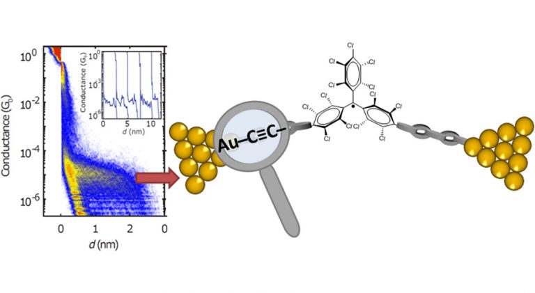 Robust Organic Radical Molecular Junctions Using Acetylene Terminated ...