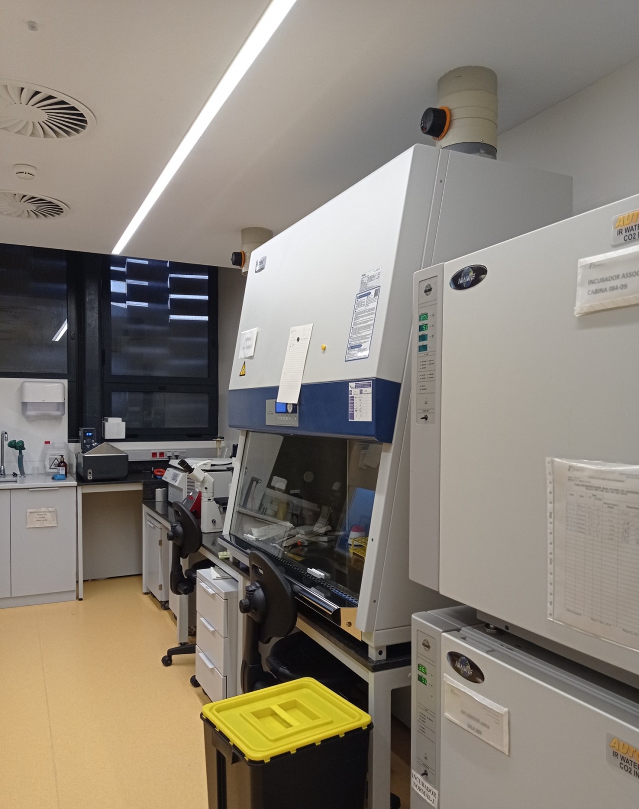 U18-E01. Cell culture rooms - Nanbiosis