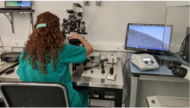 Piezoelectric-assisted micromanipulator for assisted reproduction ...