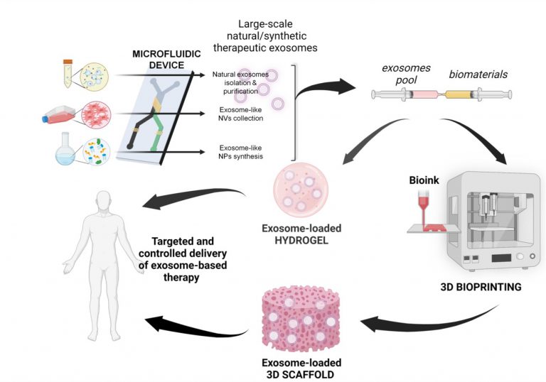 The role of microfluidics and 3D-bioprinting in the future of exosome ...