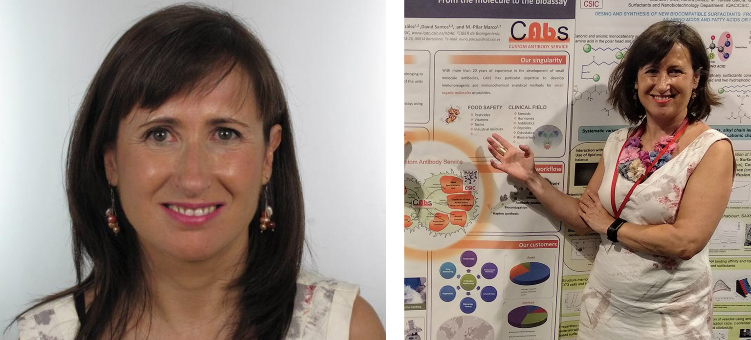Prof. Pilar Marco takes helm of CIBER-BBN: Leading the future of ...