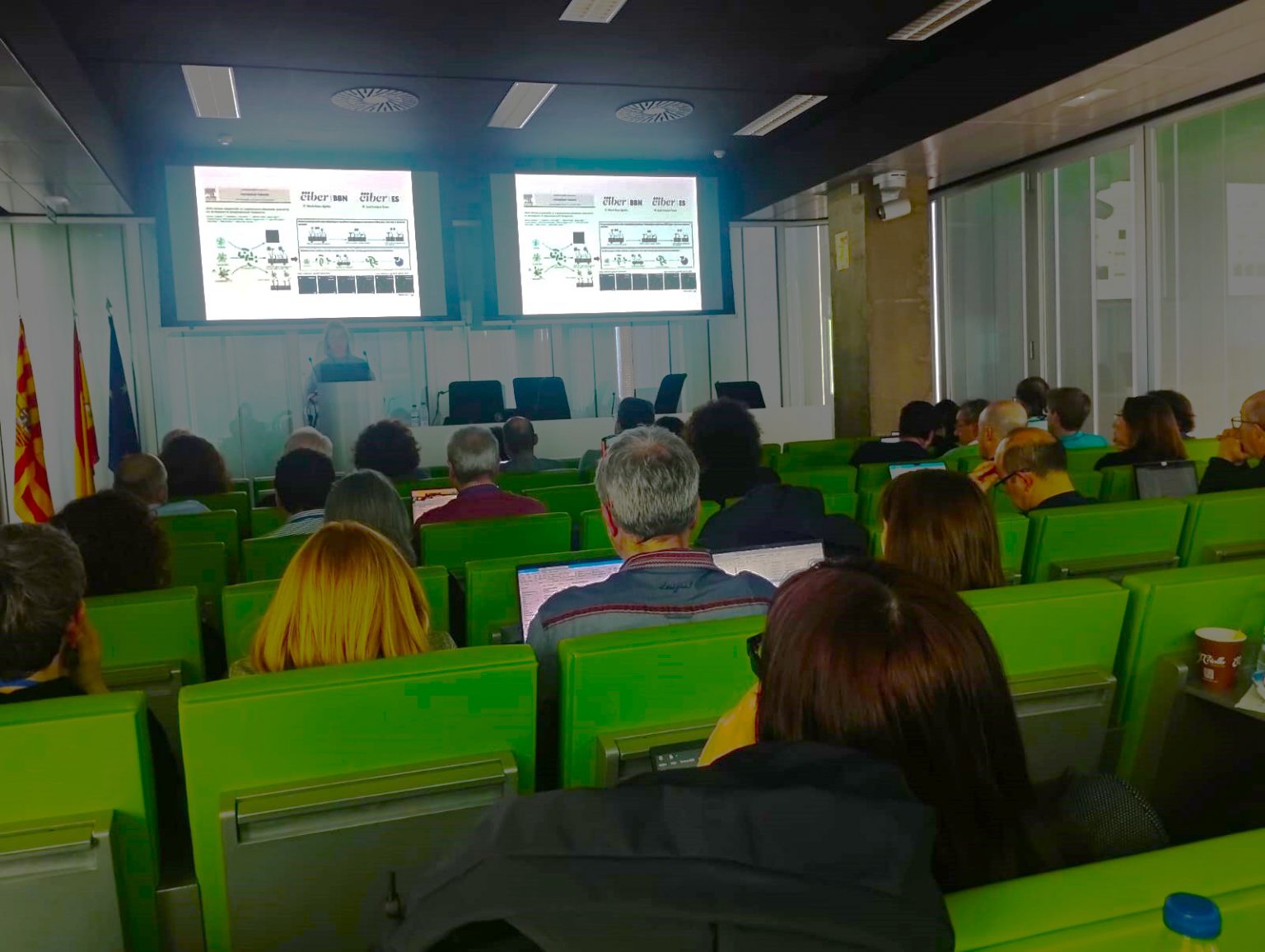 Showcase of Nanomedicine Research at CIBERES Infectious Diseases ...